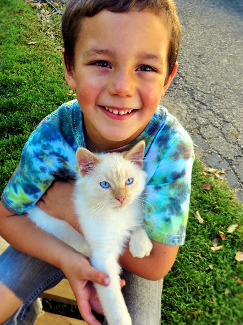 ‘Jigson’ the kitten!